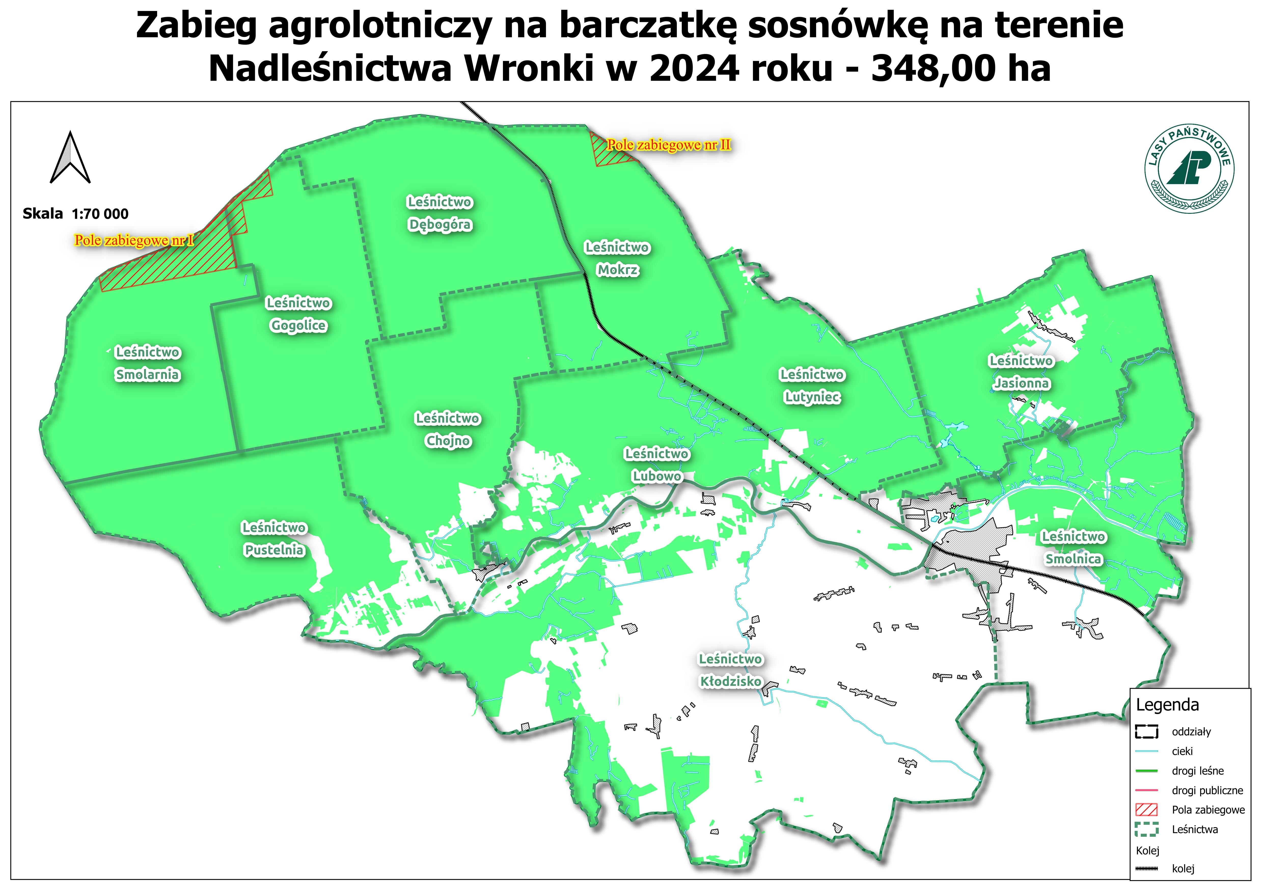 Okresowy zakaz wstępu do lasu! 23 kwietnia ruszają zabiegi z użyciem ...